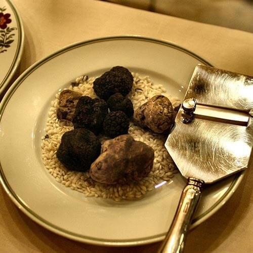 Fake truffles no more, thanks to gas chromatography